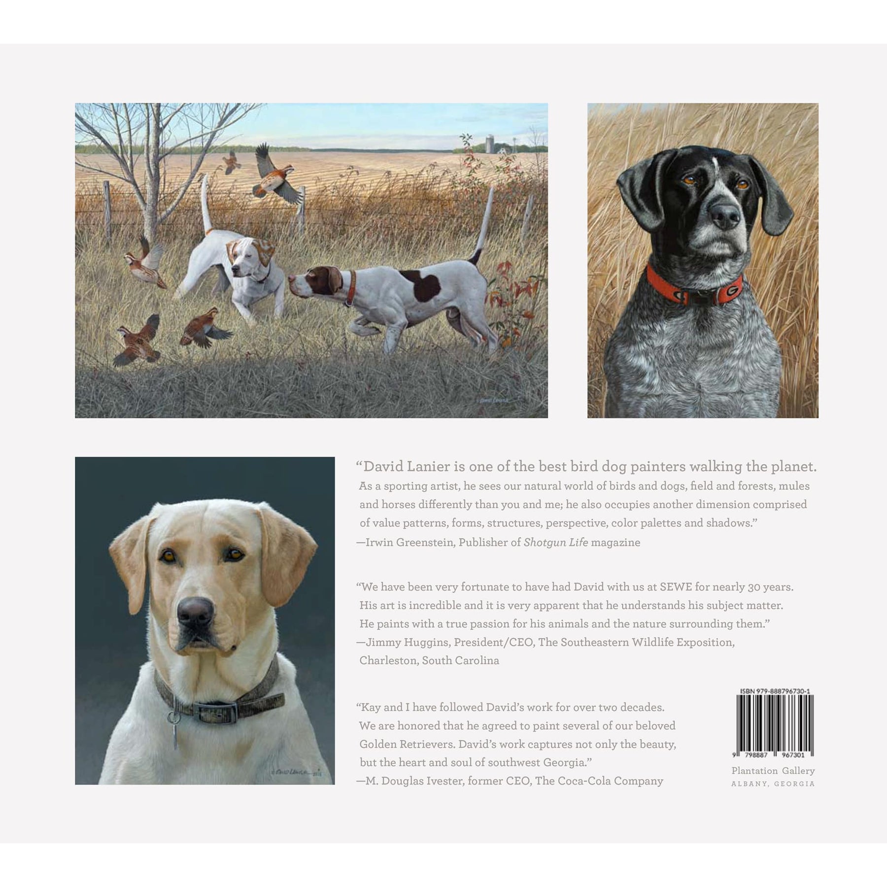 The Paintings of David Lanier – Kevin's Fine Outdoor Gear & Apparel